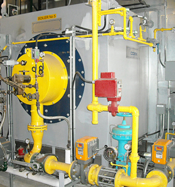 Steam Production & Combustion Equipment Design-Toronto, Canada